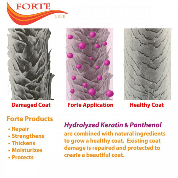 Pure Paws Forte Conditioner – Butik Gydegaard